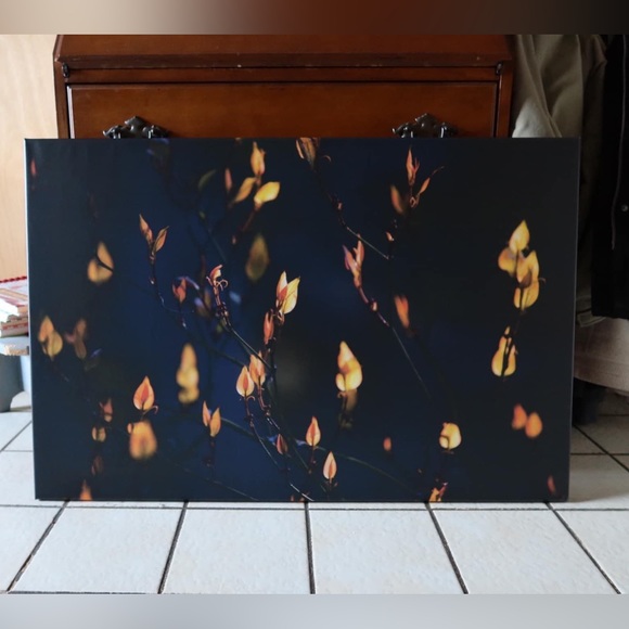 Art | Landscape Photography | Poshmark